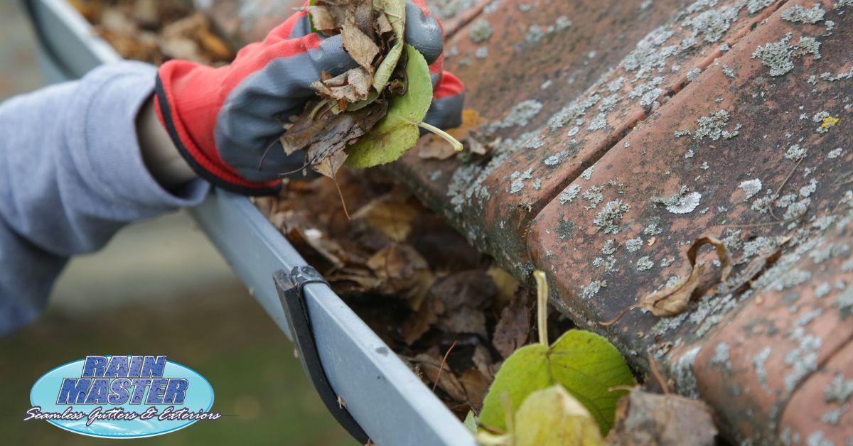 Gutter Cleaning - How Often Should You Clean Your Gutters? - Rain ...